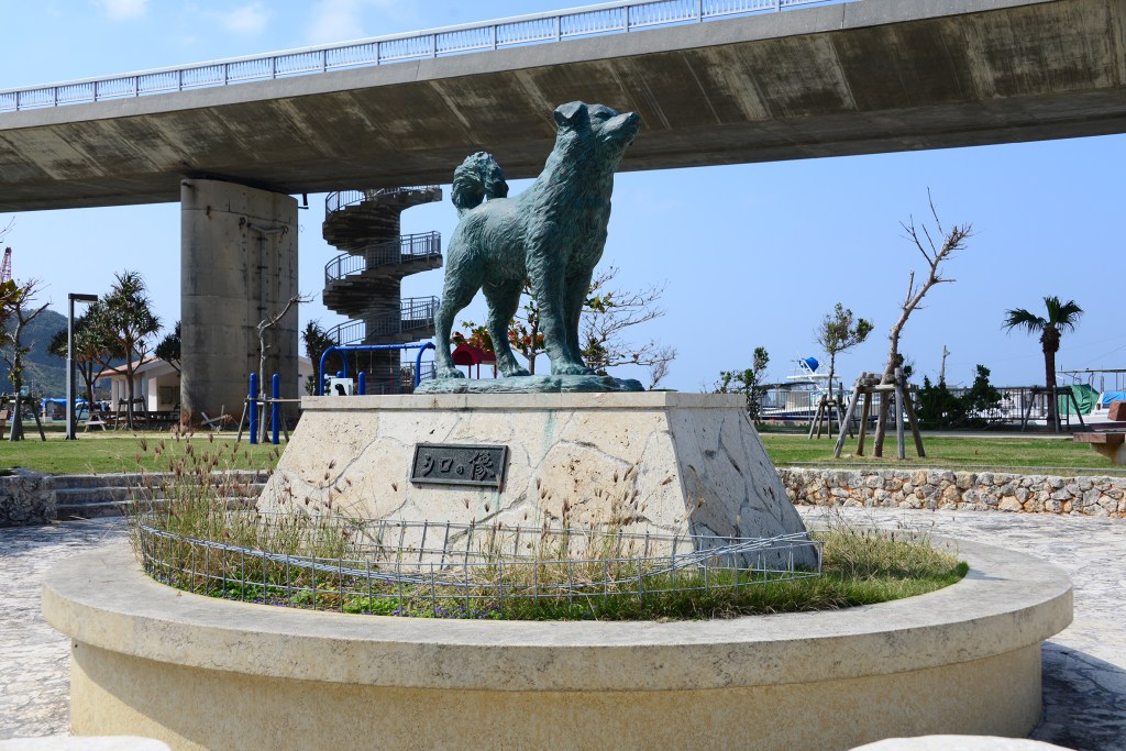Quero encontrar Maririn – OKINAWANDO